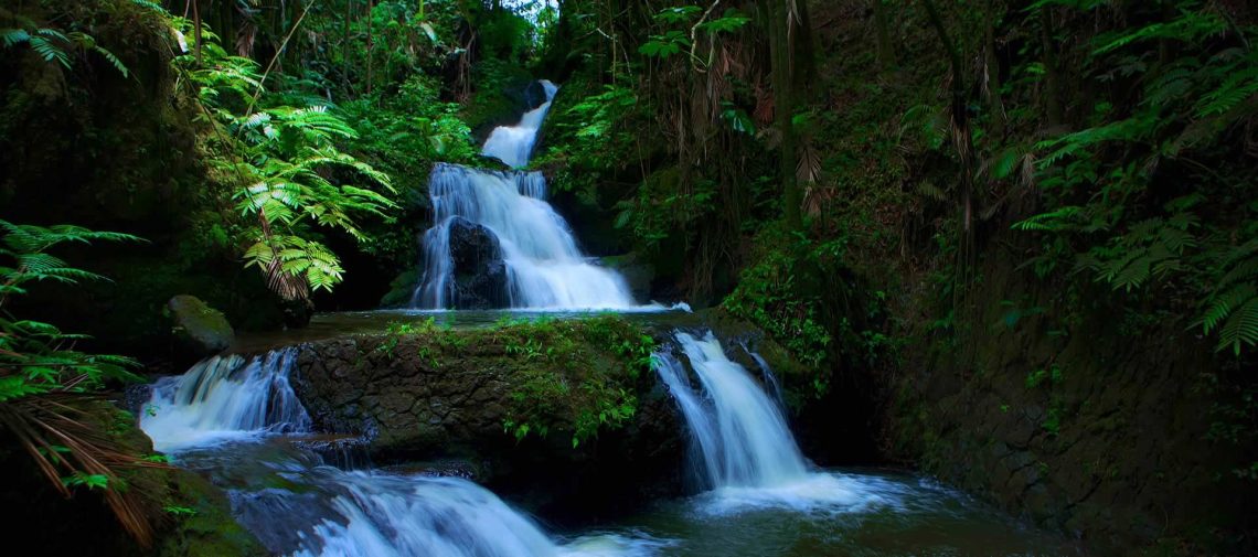 Volcano Rainforest Retreat The Perfect Honeymoon Destination - Volcano ...